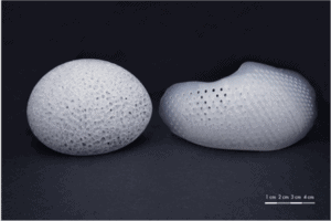 Prosthetics / Orthotics - Spectroplast | Silicone 3D Printing Service ...